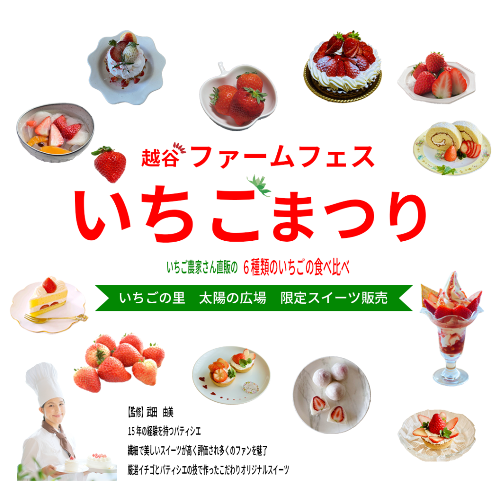 作品詳細 | blanche